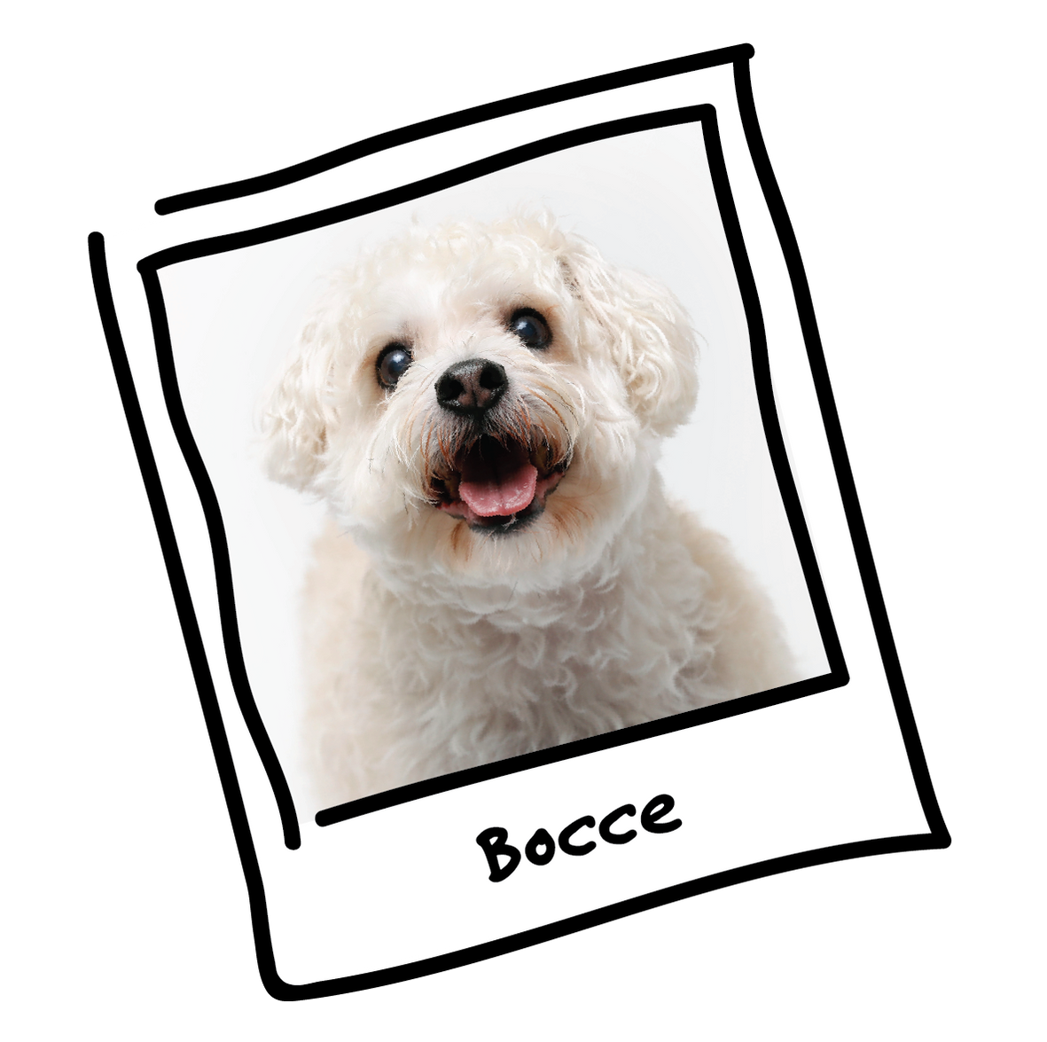 Our Story – Bocce's Bakery
