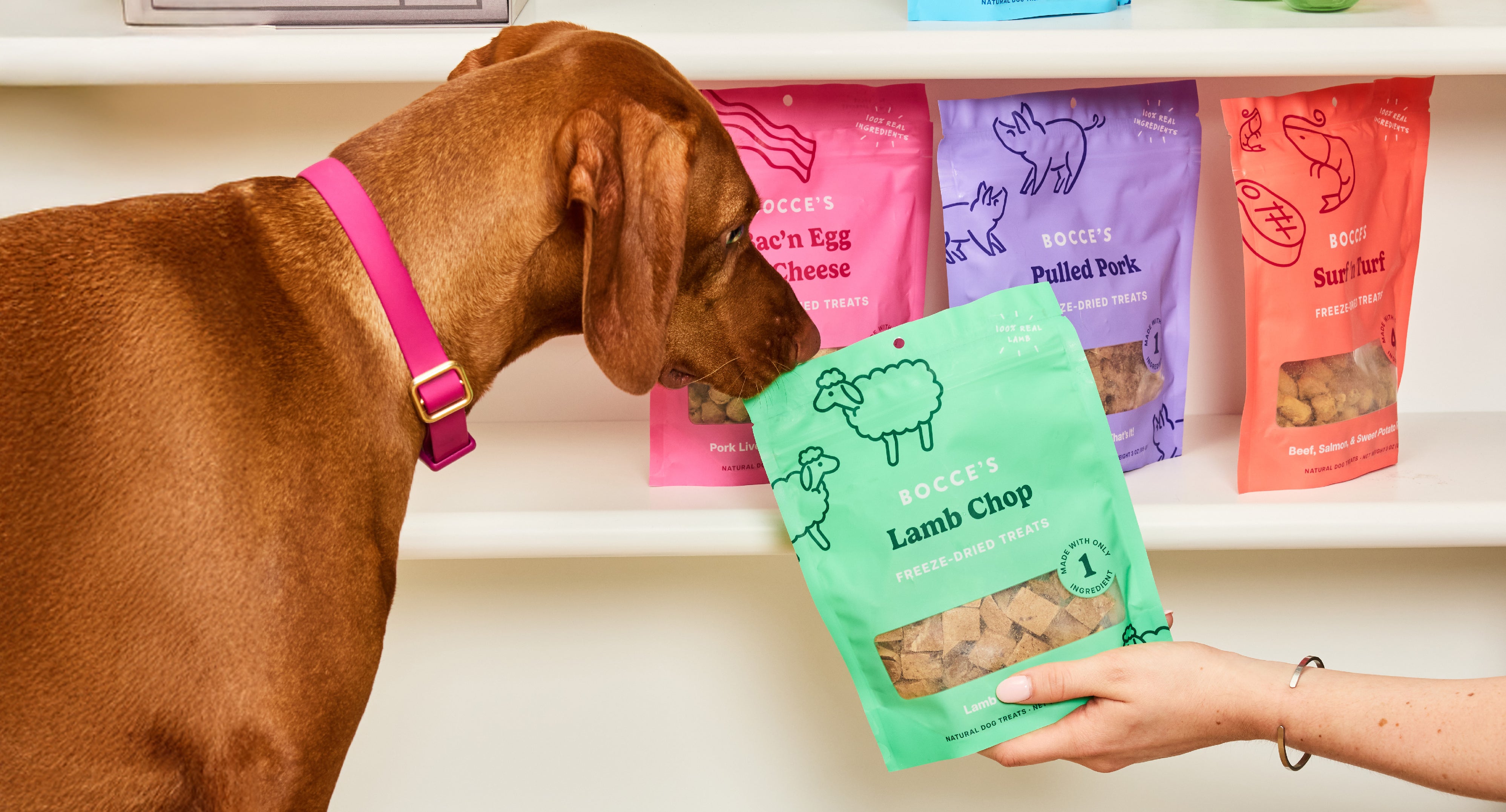 Bocce's Bakery I All-Natural, Limited Ingredient Dog Treats