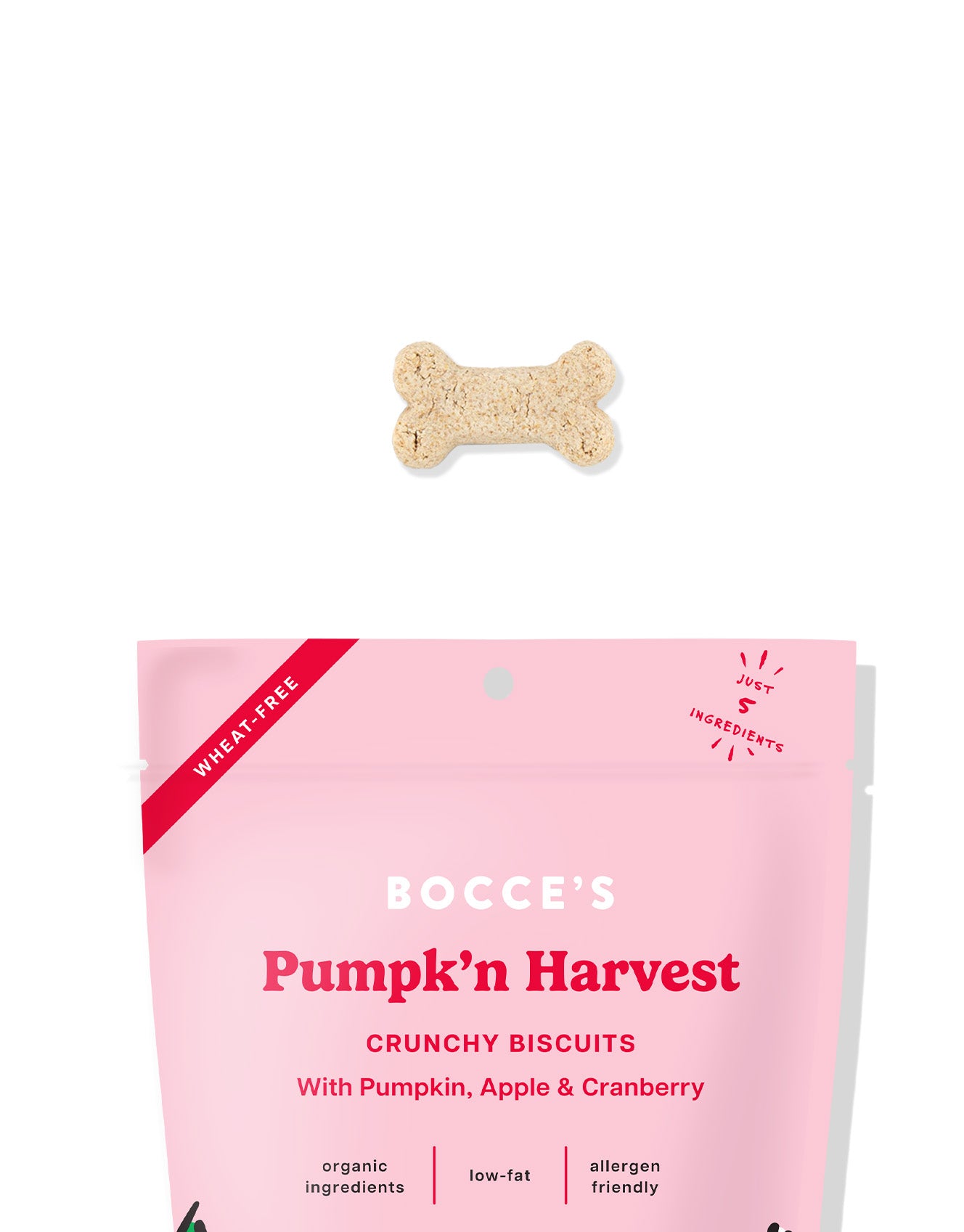 Pumpk'n Harvest Biscuits – Bocce's Bakery