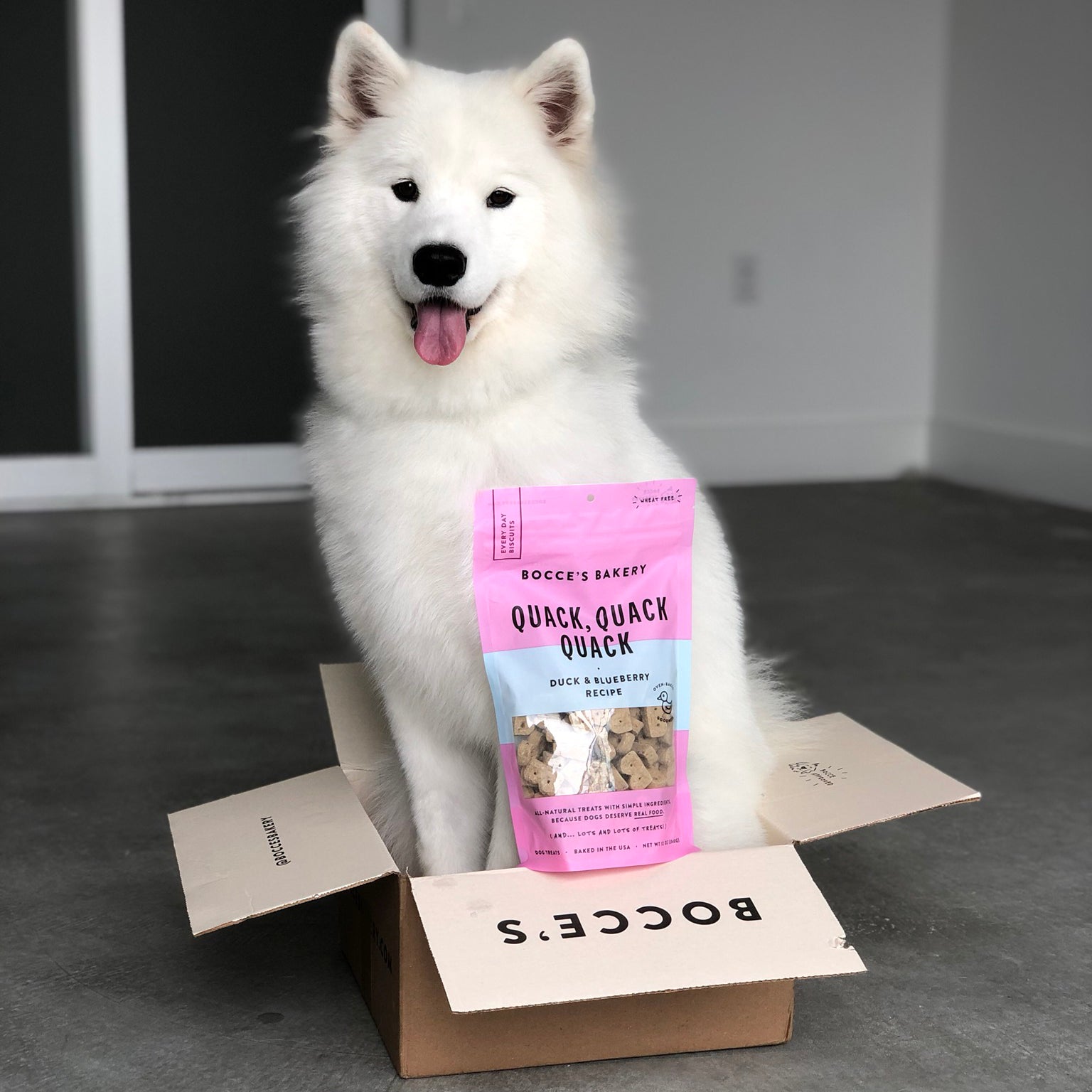 Bocce's Bakery I All-Natural, Limited Ingredient Dog Treats
